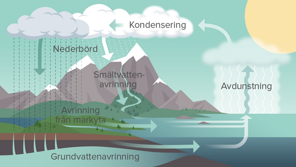 Vattnets kretslopp – läromedel till lektion i geografi åk 7,8,9