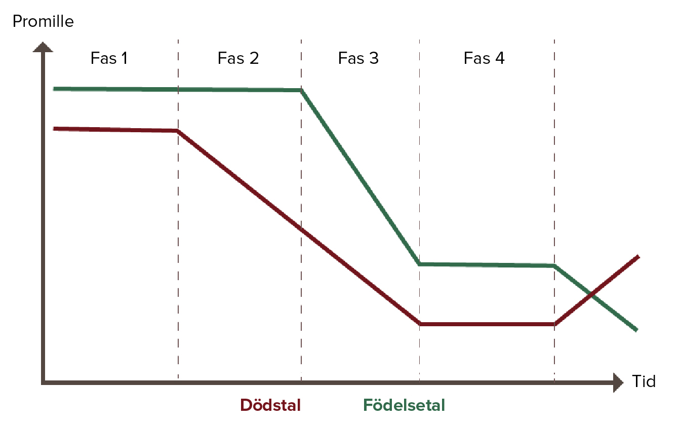 Den demografiska transitionen – läromedel i geografi åk 7,8,9